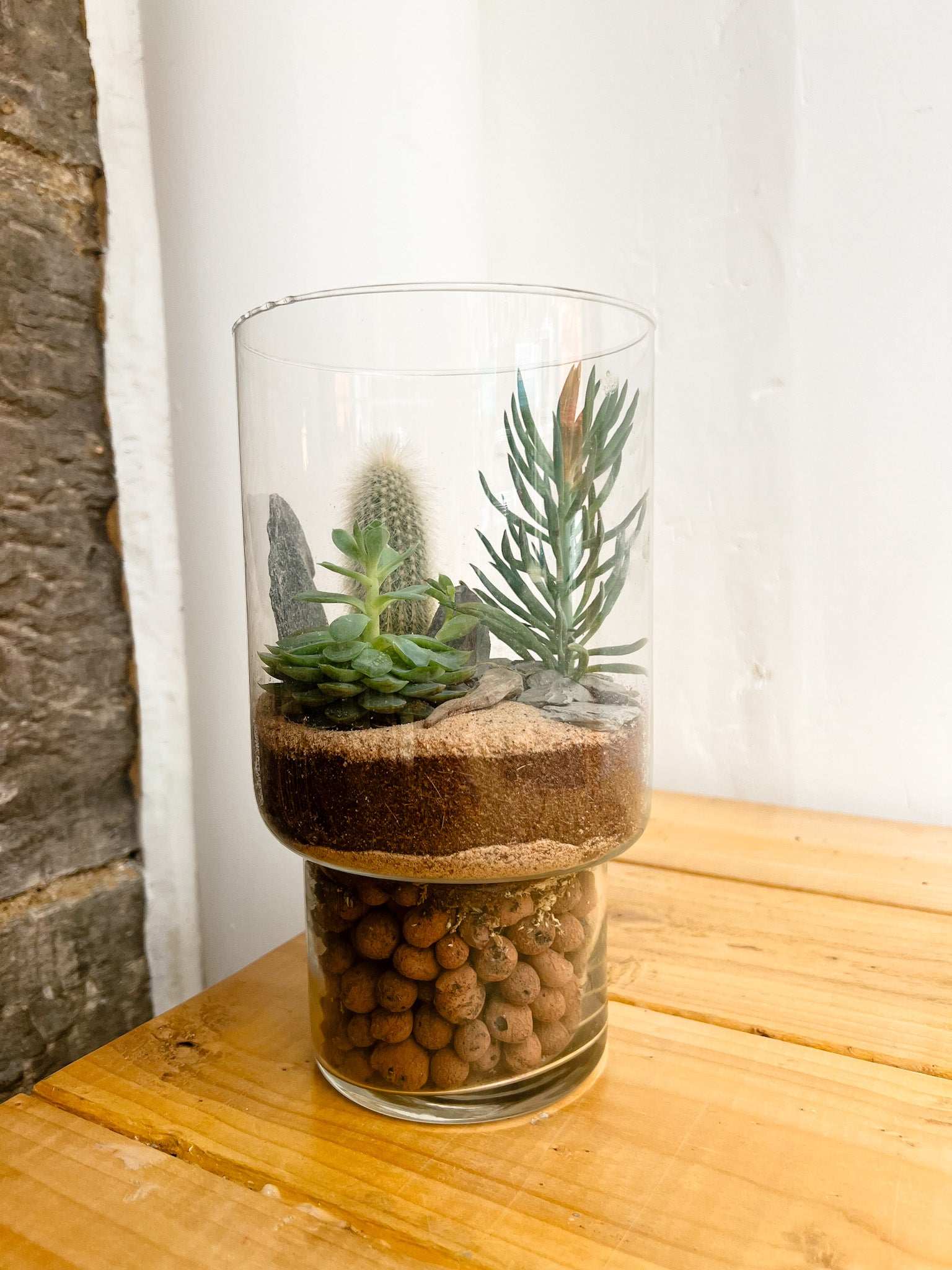 Desert Minimal Terrarium – Disposition